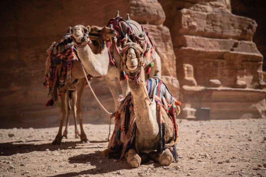Essential Things to Do in Jordan ~ Welcome to the Middle East ...
