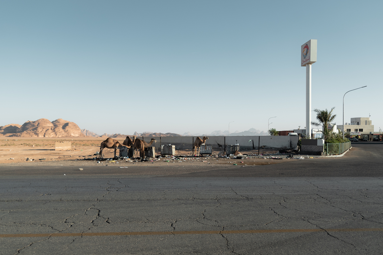 Middle of the Road Jordan ~ A Photo Journal - Driftwood Journals