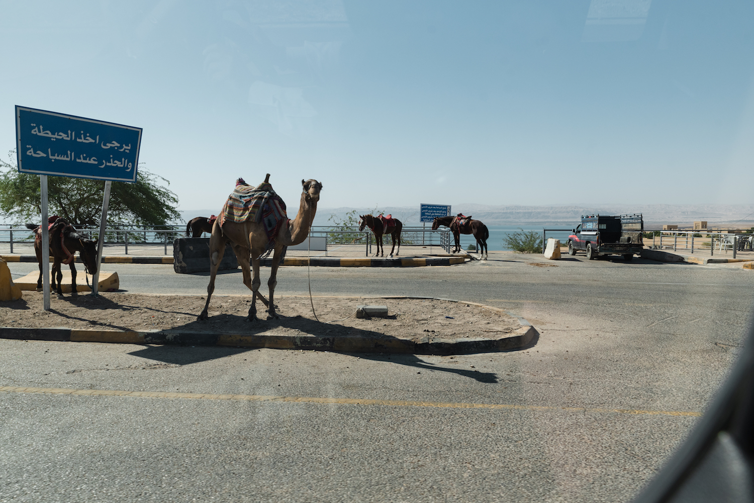 Middle of the Road Jordan ~ A Photo Journal - Driftwood Journals